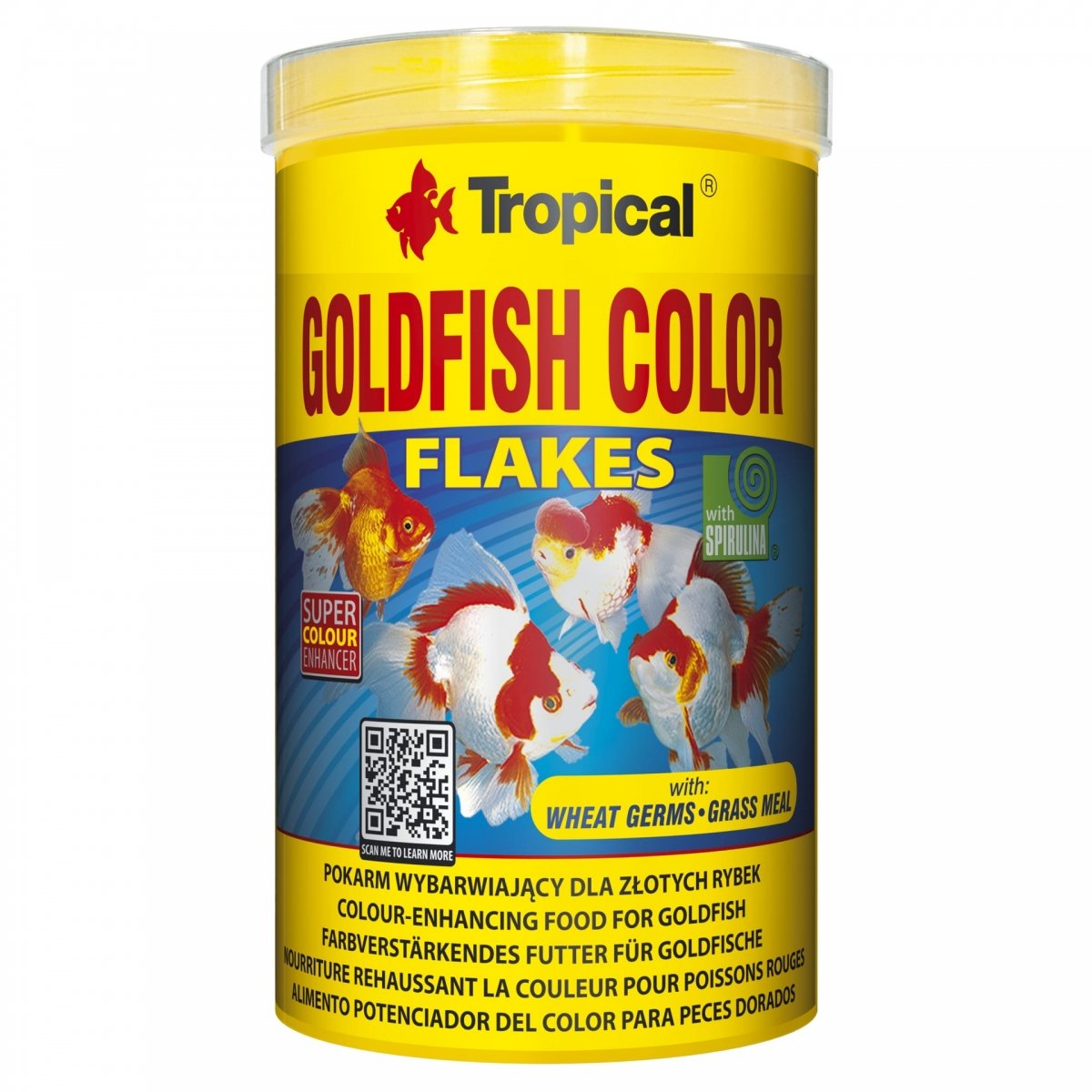 Goldfish Color - MundiAquariumCenter